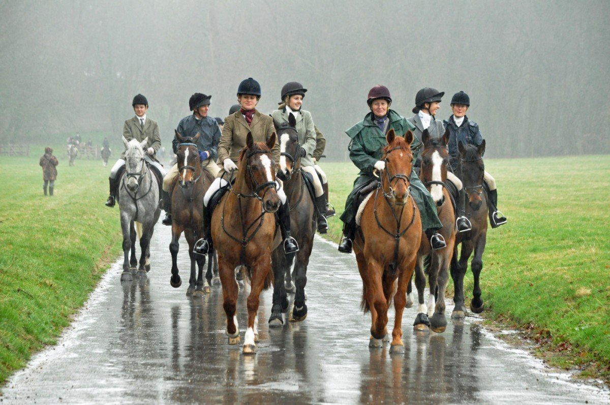 Livery Hack (Advanced) - Lavant Equestrian